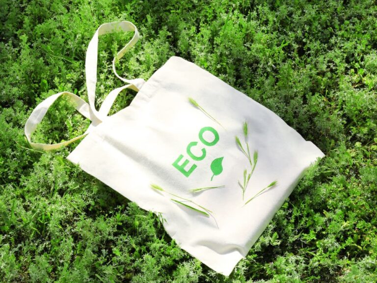 O que é Ecobag? Quais os Benefícios?